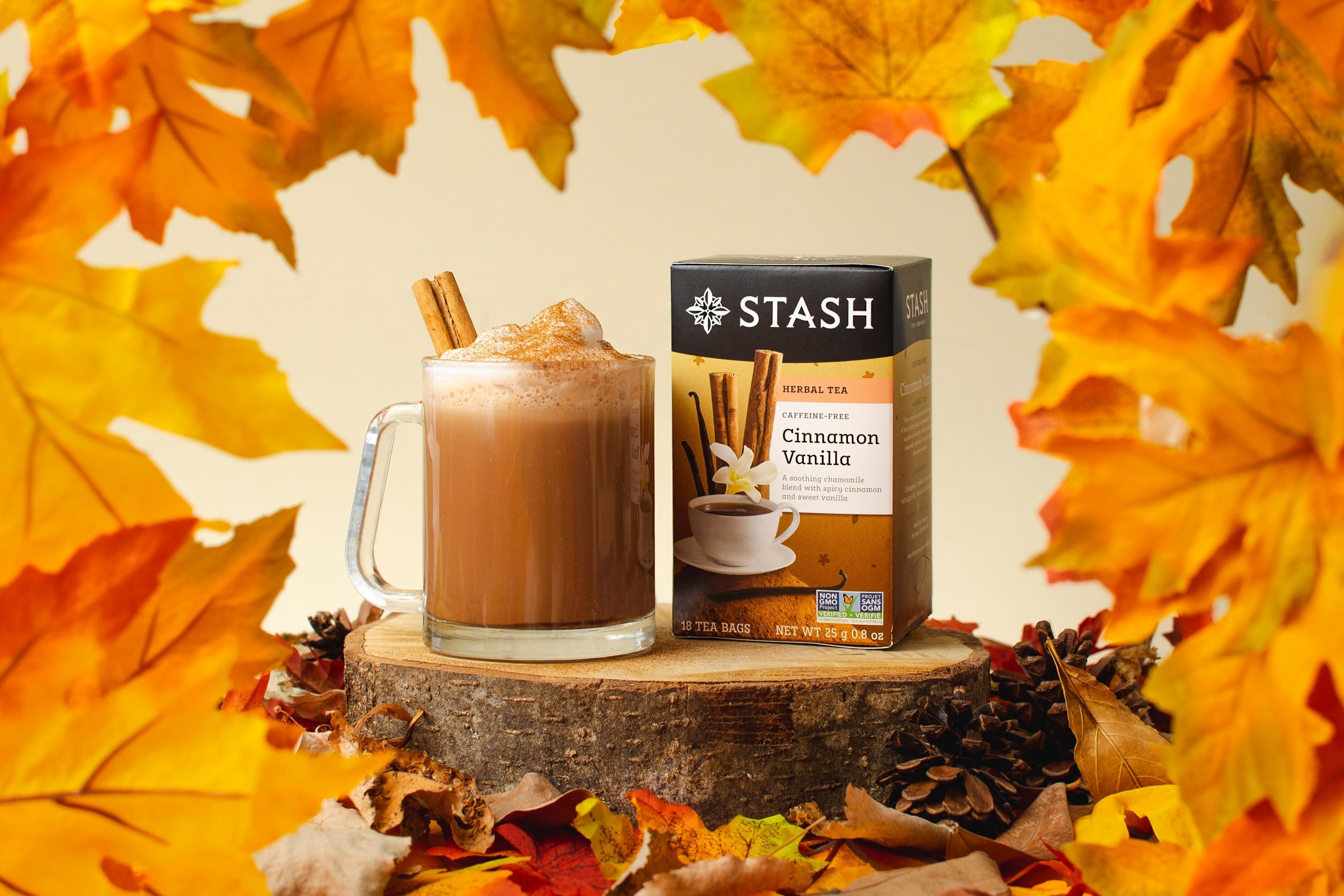 Cinnamon Vanilla Hot Chocolate – Stash Tea